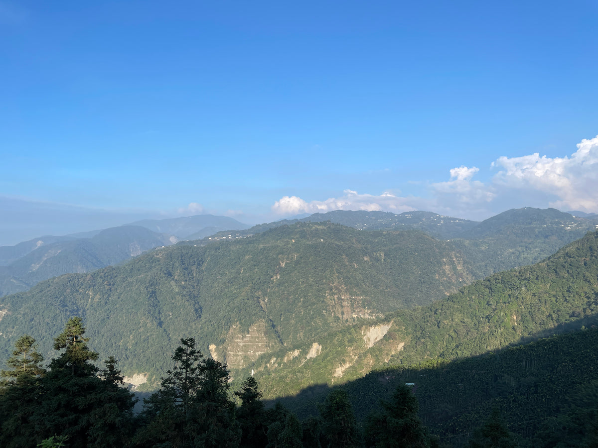 Taiwan Coffee Journey Set - 5 Bags (1.225kg) – dou coffee